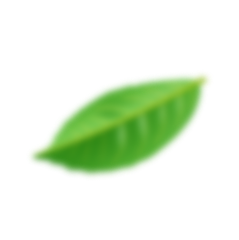 Our Tea-licious Reviews